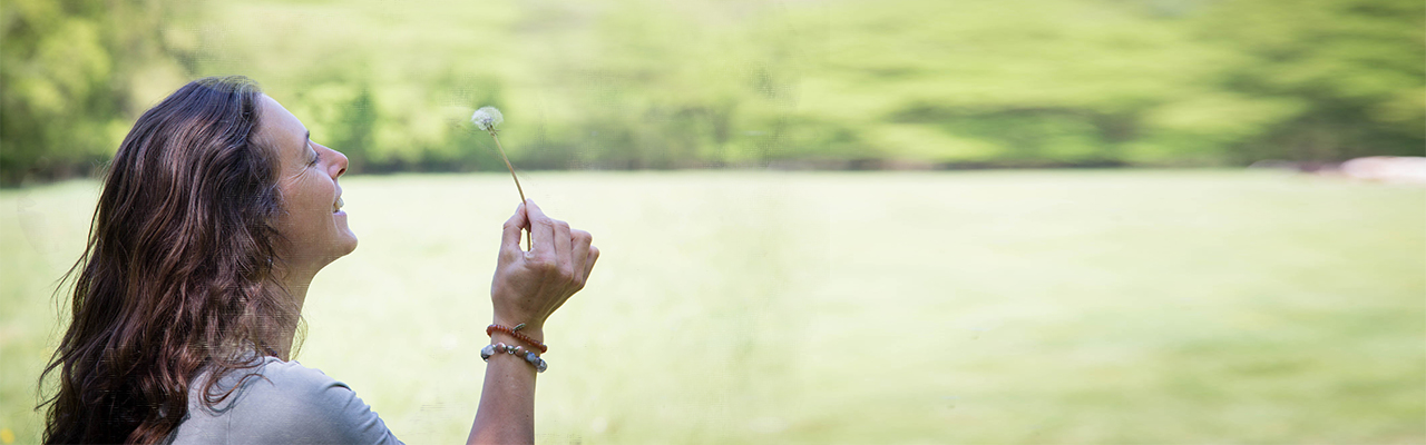 Conceptie - Lotus Coach